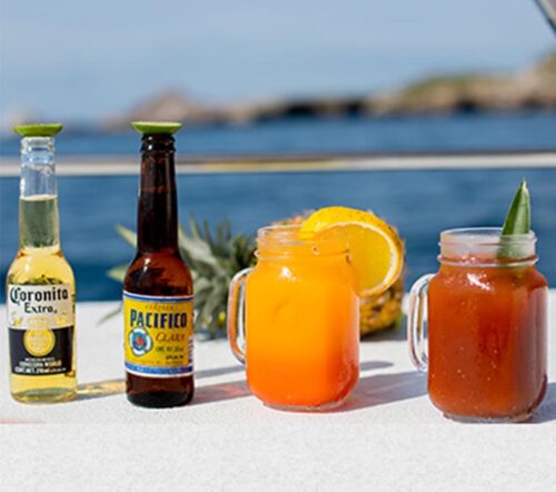 Best Private Boat Tour Puerto Vallarta - Chica Locca Tours